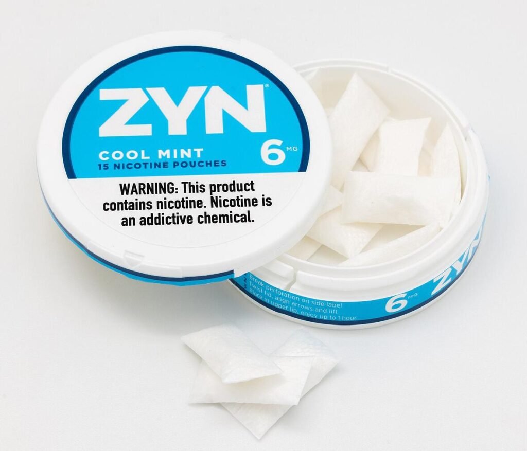 ZYN Cool Mint Nicotine Pouches | 3 & 6mg